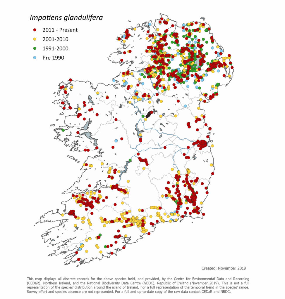 Invasive Species Ireland